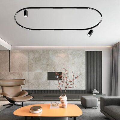 Circular track light - Prillumen Lighting Company